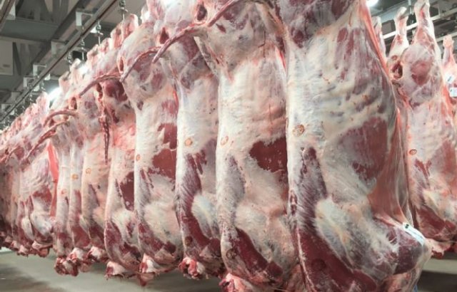 Van Rooi neemt Van Loon Group over - DeKalverhouder.nl