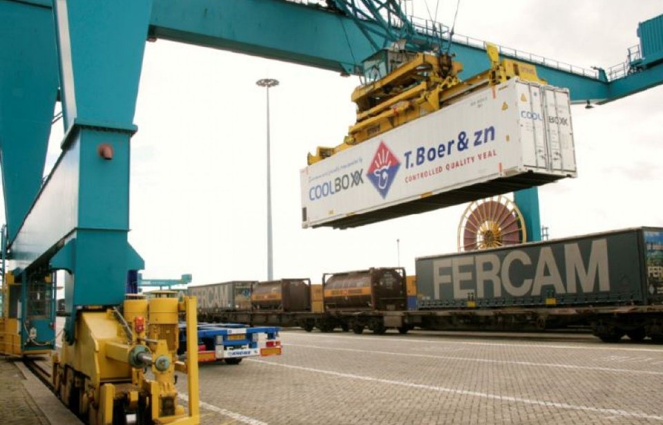 Handelsoorlog tussen VS en EU treft landbouwsector - DeKalverhouder.nl